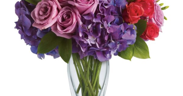 Rhapsody in Purple | La Tulipe flowers