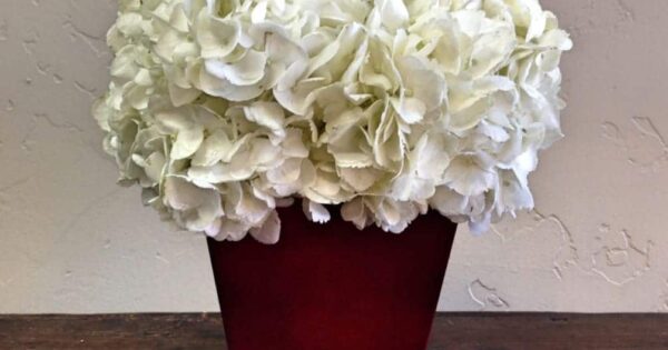 Camas, WA Flower Delivery | Camas, Washington Florist